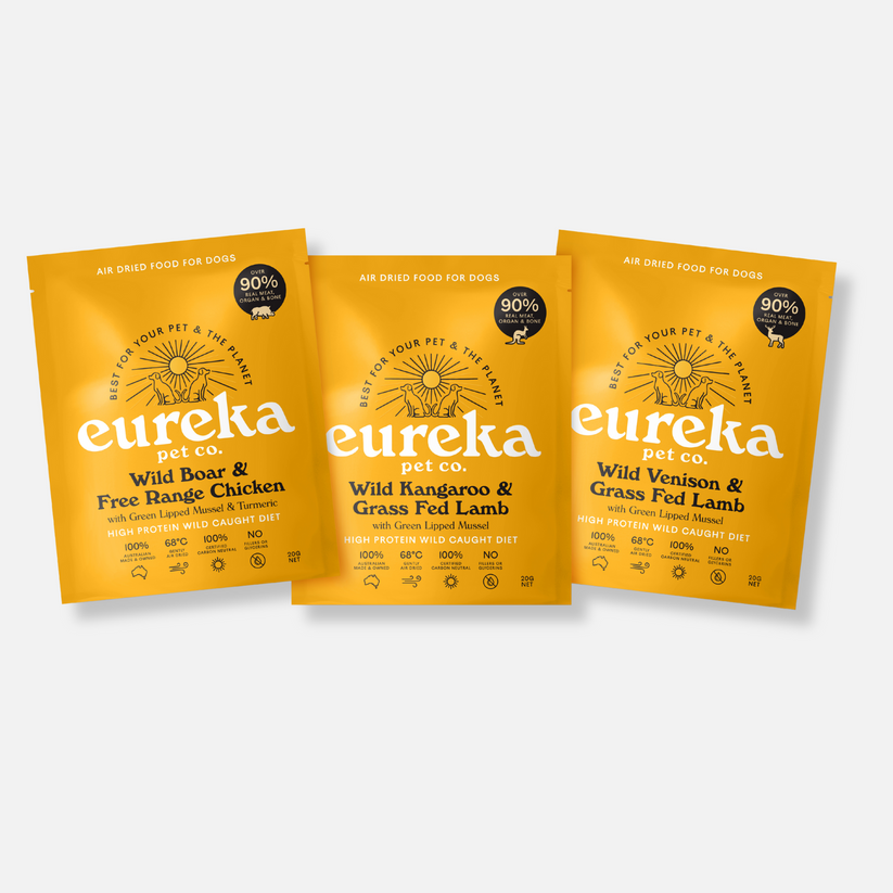 Skip to product information