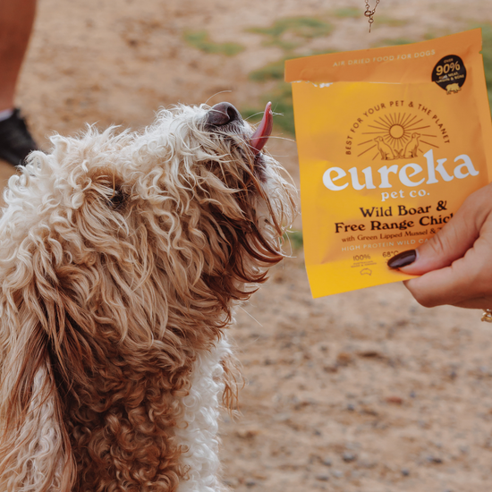 Add to cart Shop Now Shop Now