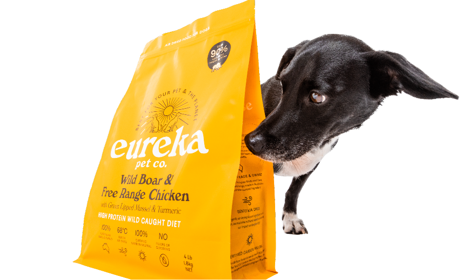 Gut Helper: Digestive Care Dog Food Supplement | Eureka Pet Co
